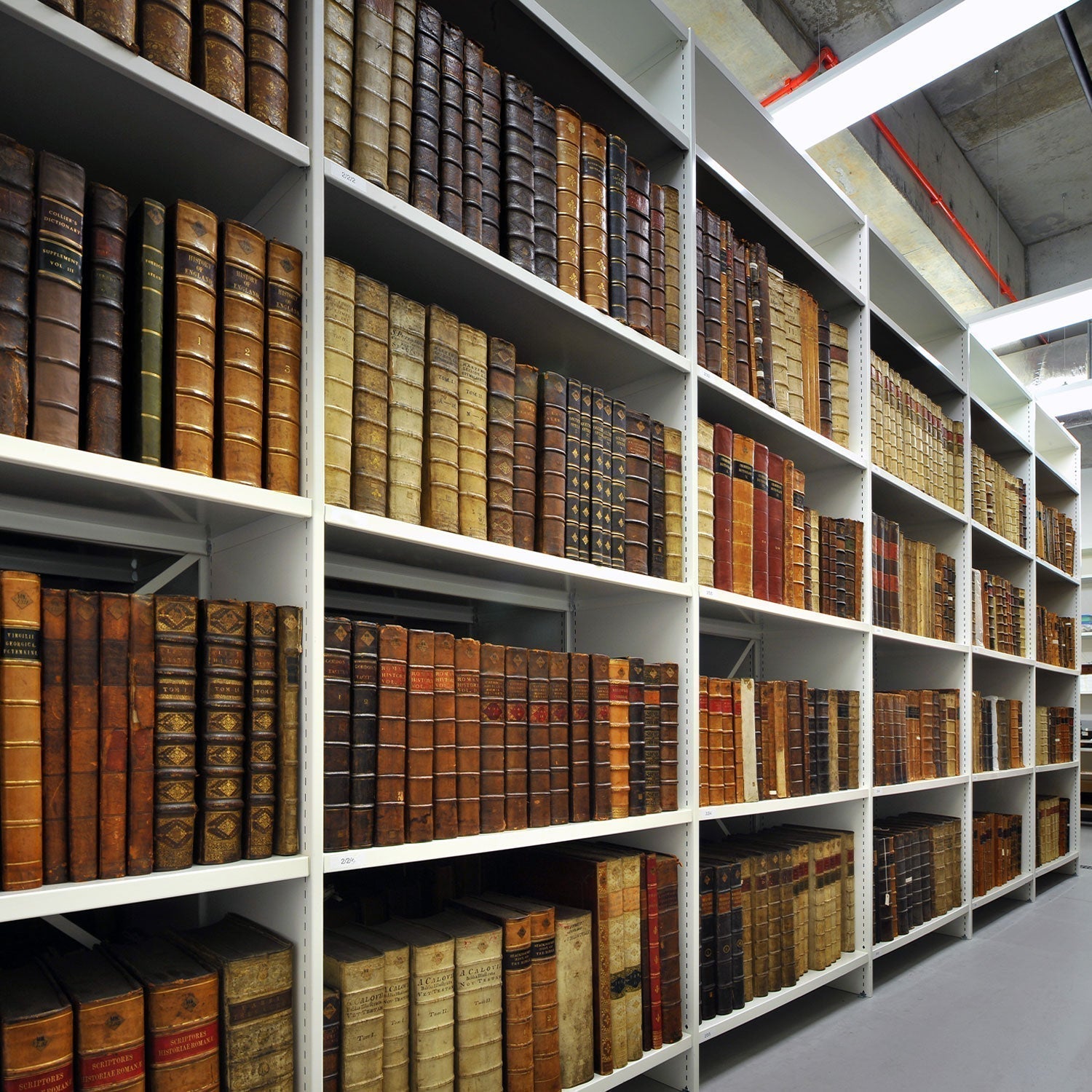 Messy Archive? 5 Steps To Master Archive Storage. – Ironstor Storage ...